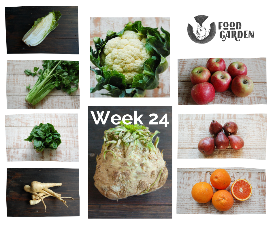 Week 24 - Celeriac, Cauliflower, Parsnip, Pumpkin, Spinach, Wombok and ...