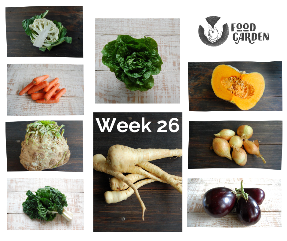 Week 26 - Tangelo, Blood Orange, Mandarin, Navels, Red Grapefruit and ...