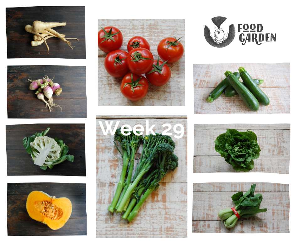 Week 29 - Broccolini, Parsnip, Cauliflower, Chinese Greens, Tomato, Tu ...