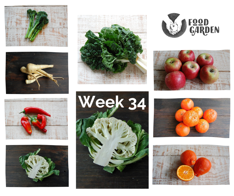 Week 34 - Red Wombok, Bullhorn Capsicum, Kohlrabi, Fennel and Kalie an ...