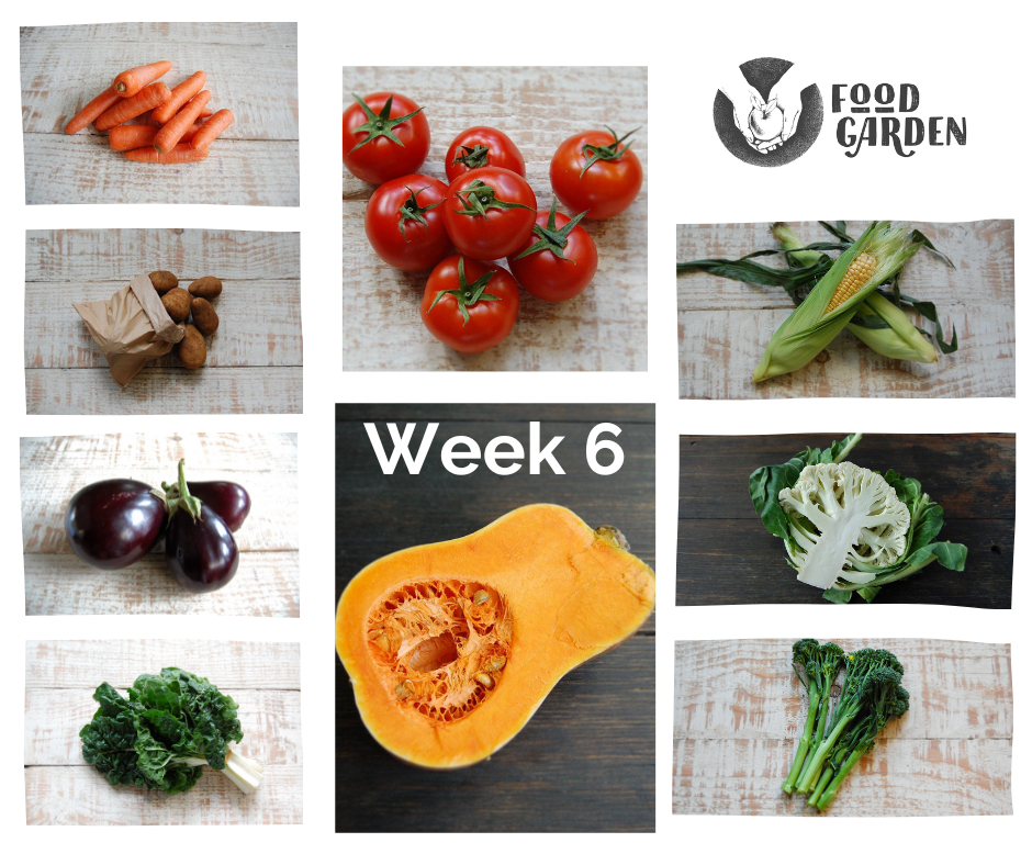 Week 6 - Eggplant, Cauliflower, Cherry Tomato, Broccolini, White Musca ...