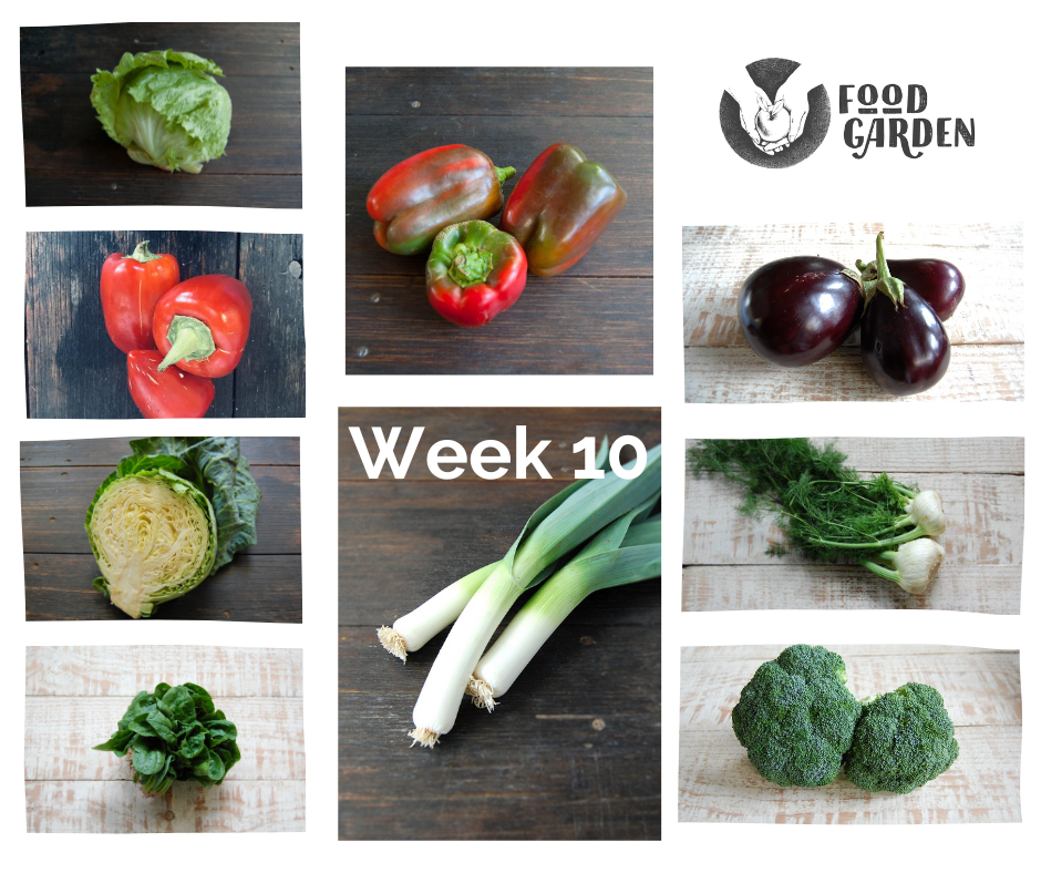Week 10 - Newstead Tomato, Mornington Capsicum, Koo Wee Rup Fennel, Ny ...